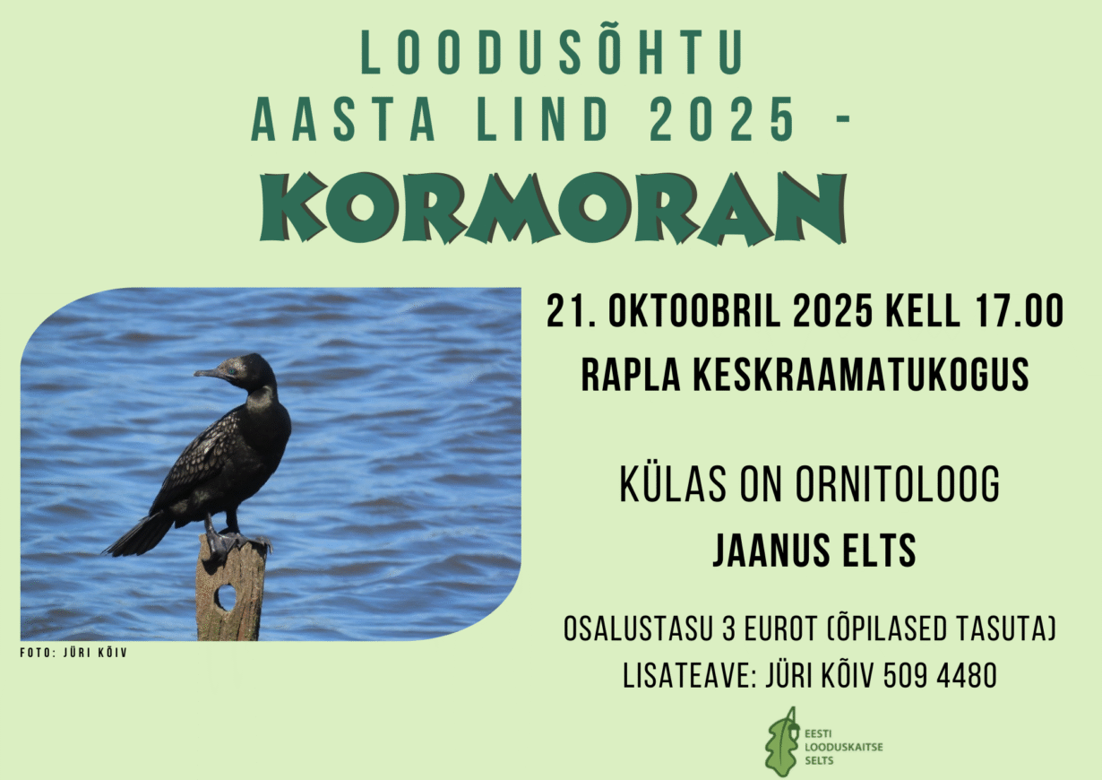 21. oktoobril loodusõhtu: Aasta lind 2025 – kormoran – Rapla ...
